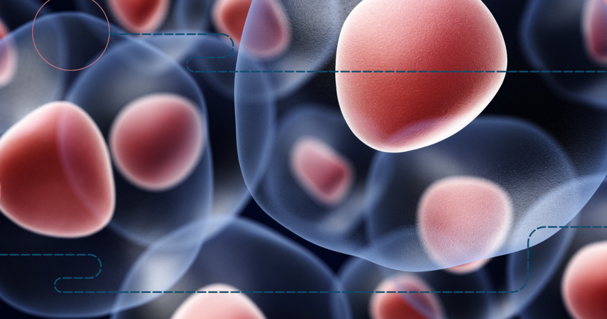 4D Cell Biology: from disease models to drug discovery – News – CIVIS - A European University ...