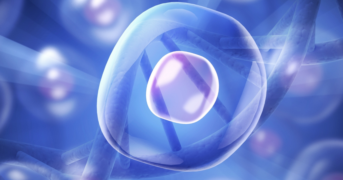 Basic Cell Biology – News – CIVIS - A European University Alliance