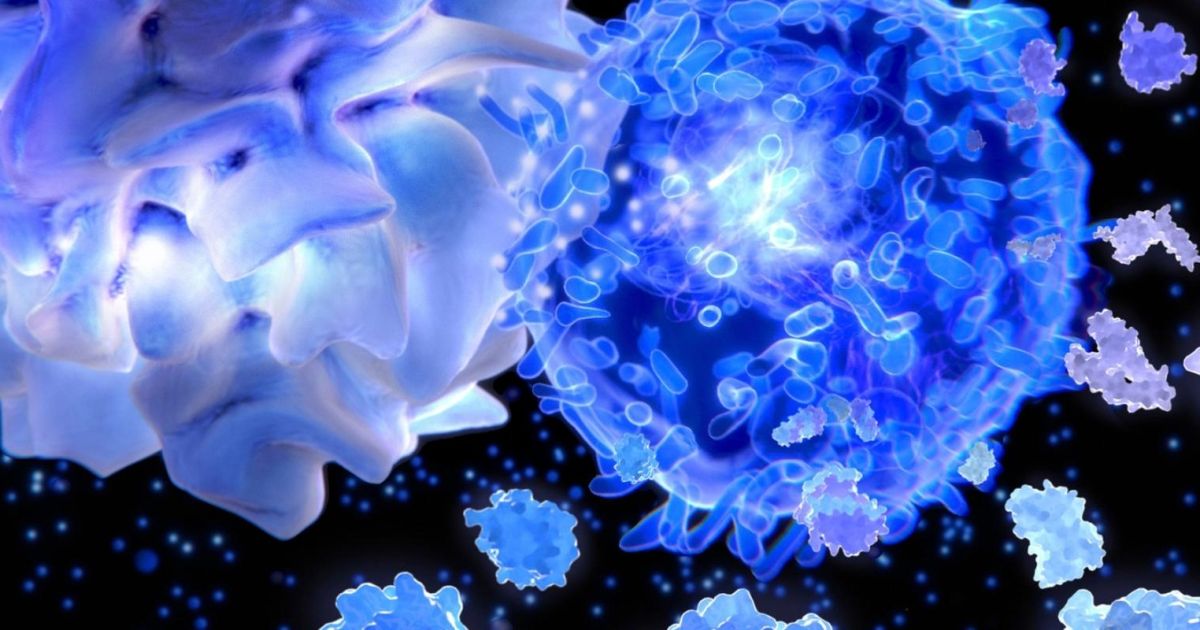 Education beyond the state of the art: Development of an educational ...