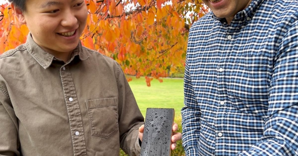 SU researchers revolutionise construction by turning tree bark into ...