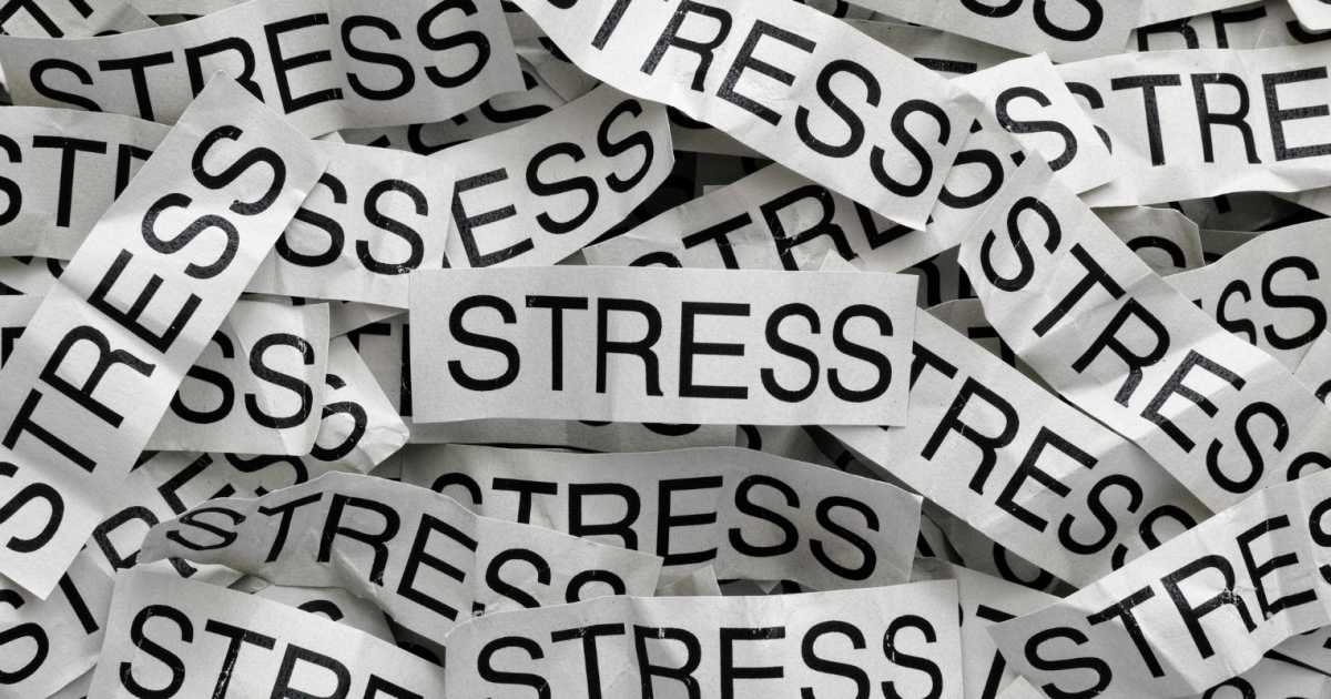 Mini-programme on emotion and stress regulation – News – CIVIS - A ...