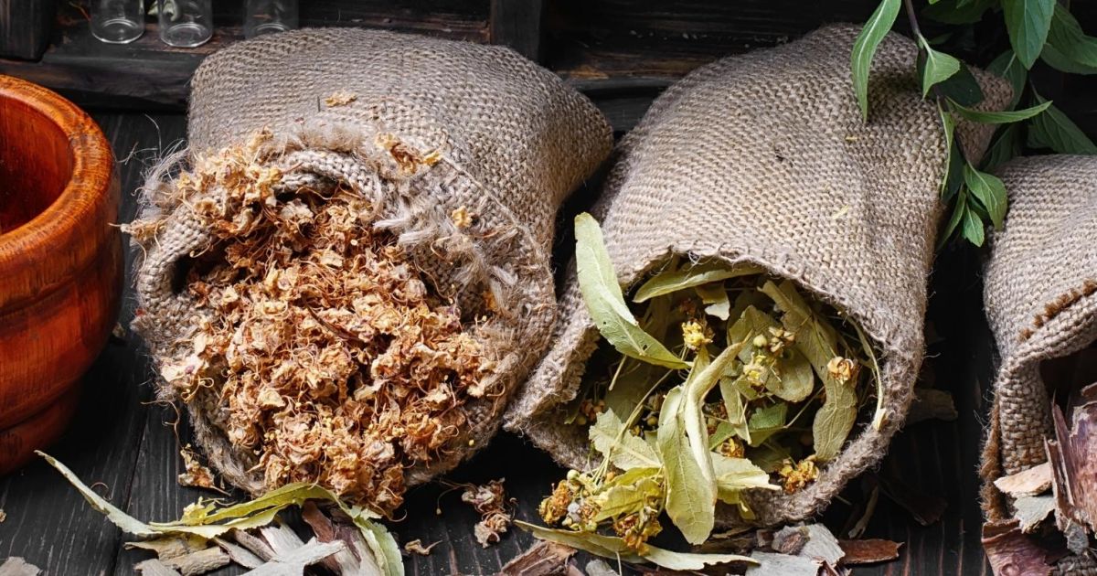 Workshop on traditional medicines: A sustainable lifestyle towards ...